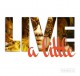 Live a Little: Don’t Let Others Define Your Limits - Skimbaco Lifestyle ...