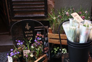 Our Spring magazine issue is here! Theme: Radiant Flowers - Skimbaco ...