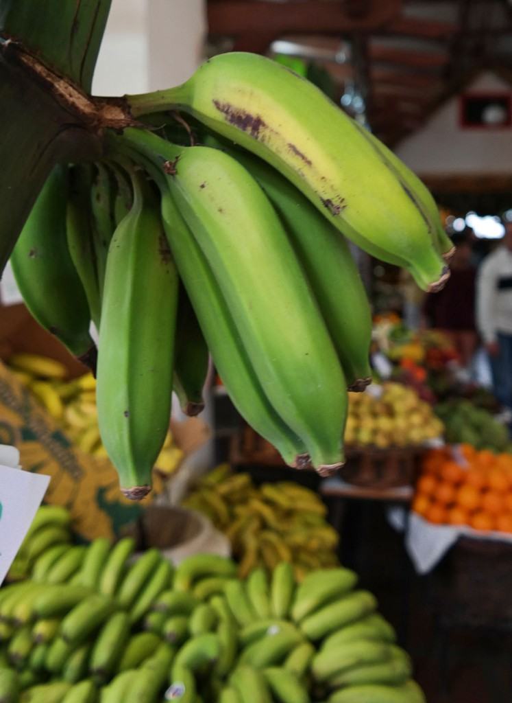 Live life to the fullest: be different, like the bananas in Madeira ...
