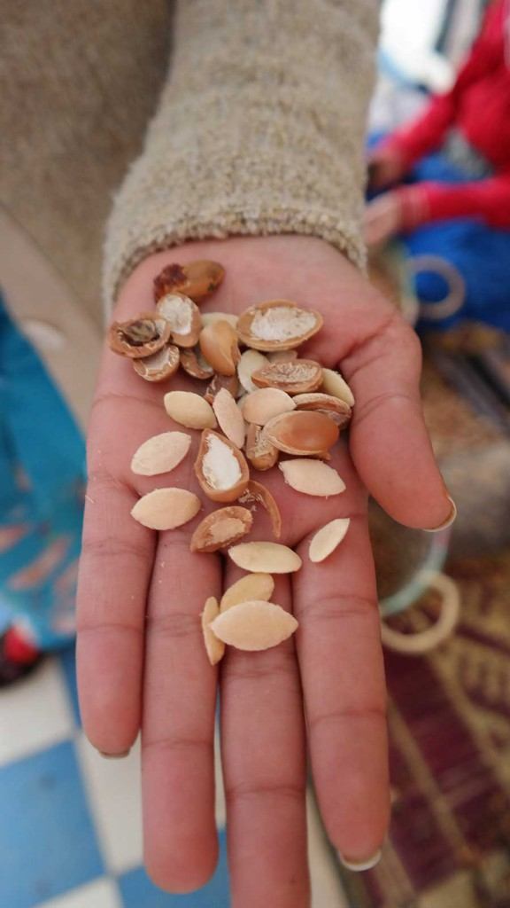 Argan Oil in a Nut Shell – How the Moroccan Gold is Made and Why It’s ...