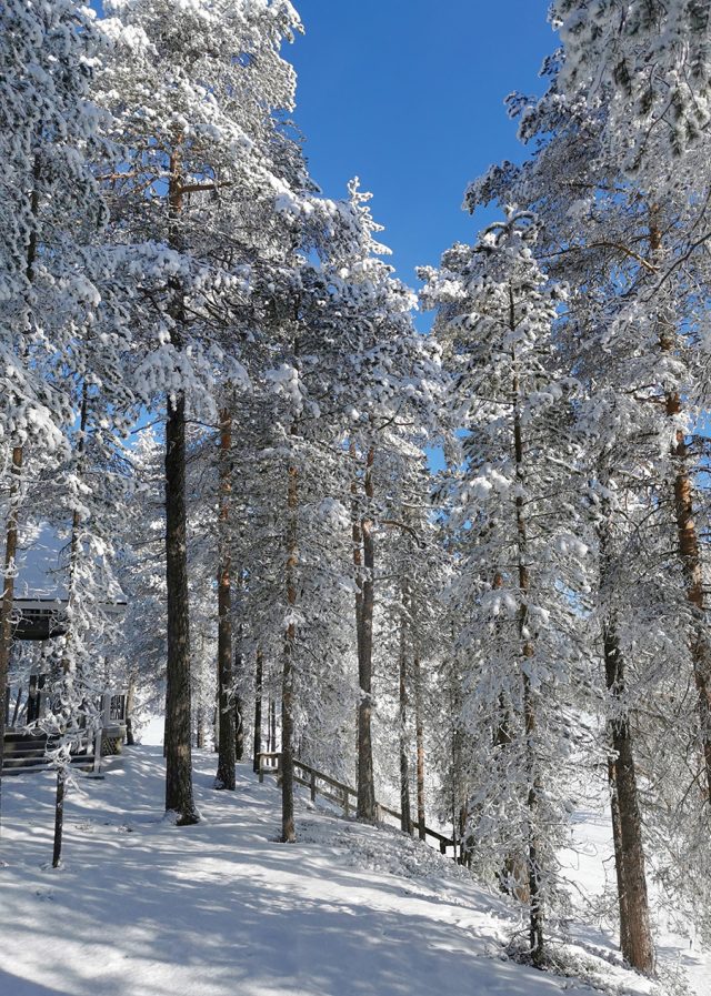 Unique Wilderness and Culture Experiences in Posio, Finland - Skimbaco ...